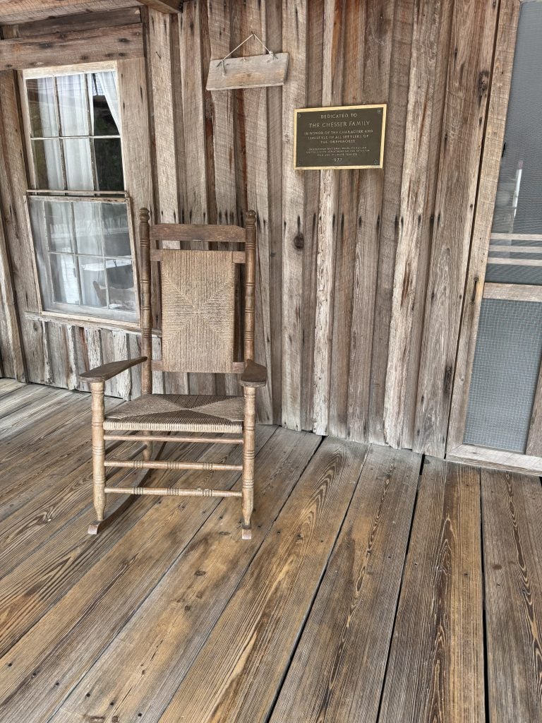 Everything You Need To Know For Visiting The Okefenokee Swamp - The ...