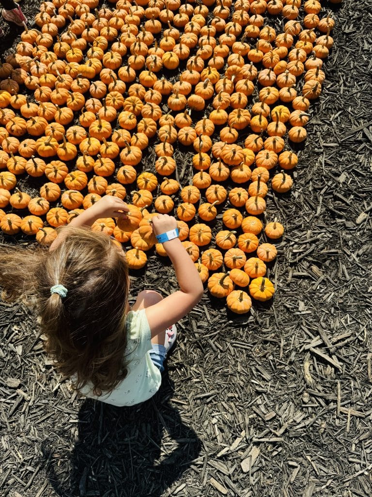 Why You Should Visit Jaemor Farms This Fall - The Stickered Suitcase