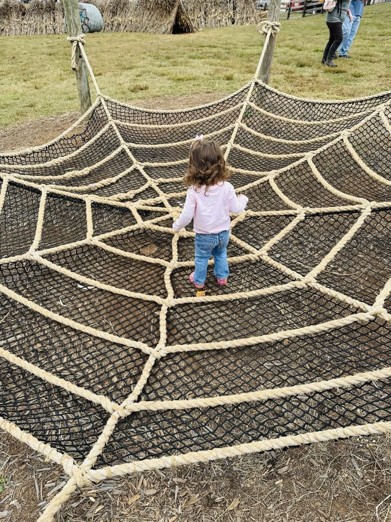 Why You Should Visit Jaemor Farms This Fall - The Stickered Suitcase
